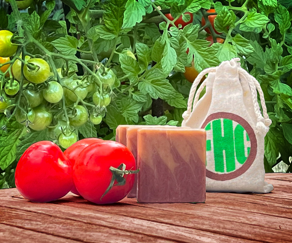 Natural Shampoo Bars by FHC Fresh Handmade Cosmetics